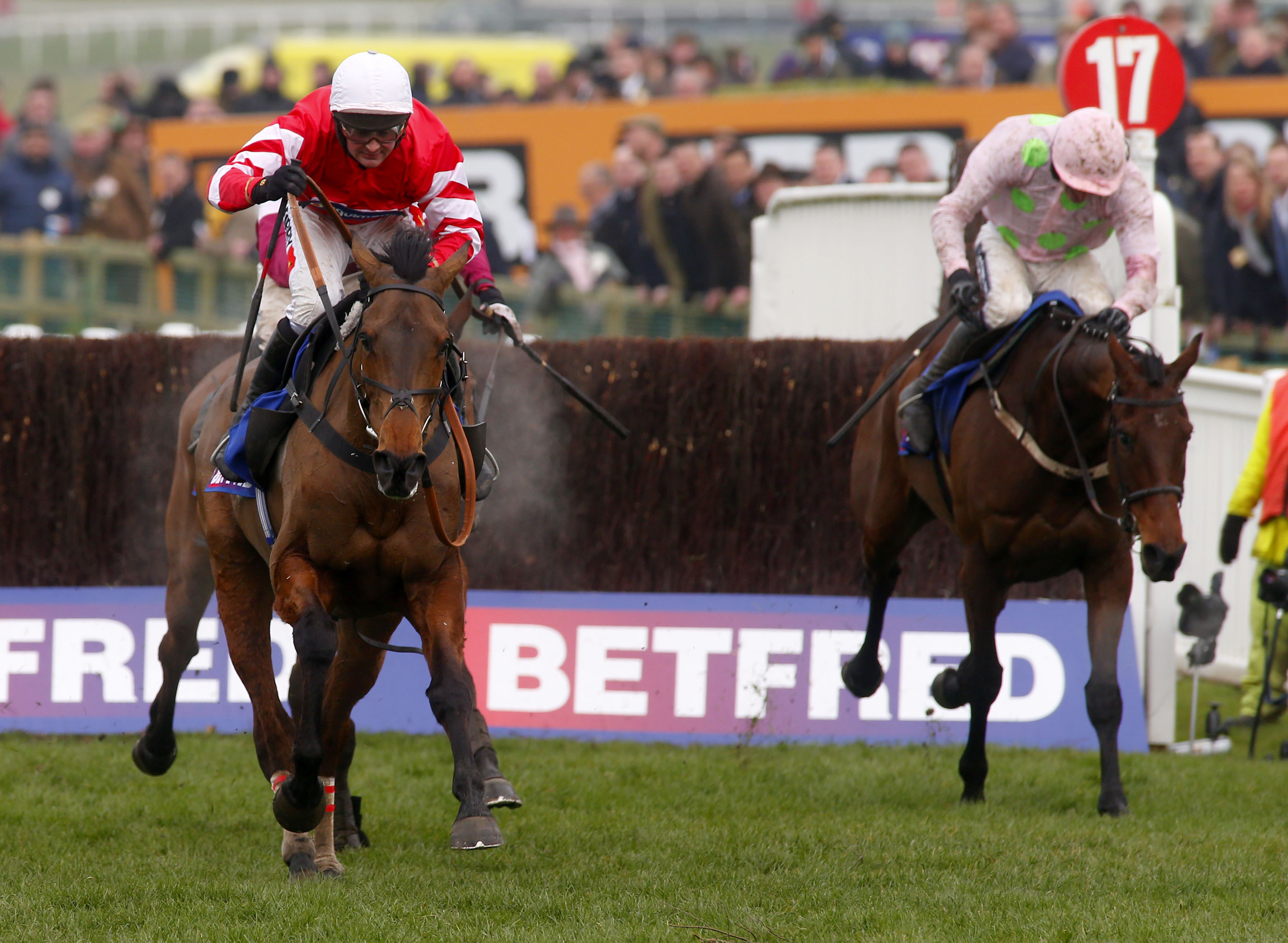 Tying up in Racehorses | Keyflow Feeds