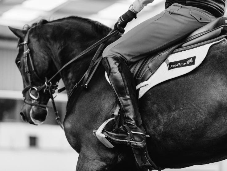 EQ Complete Proteins - everything you need to know | Keyflow Feeds