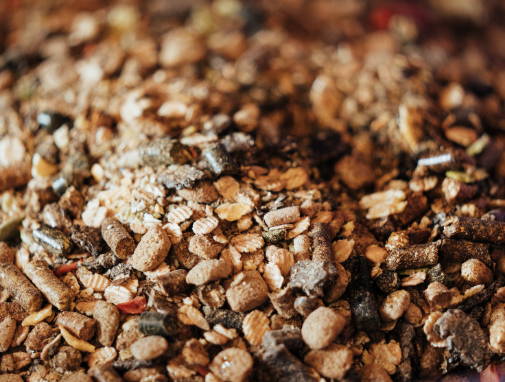 Starch: Saint or Sinner? | Keyflow Feeds