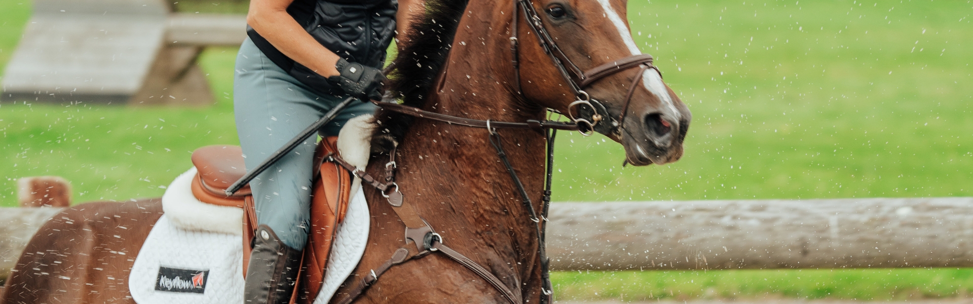 Feeding Out-of-Work Event Horses: Post-Season Care Tips | Keyflow | Keyflow Feeds