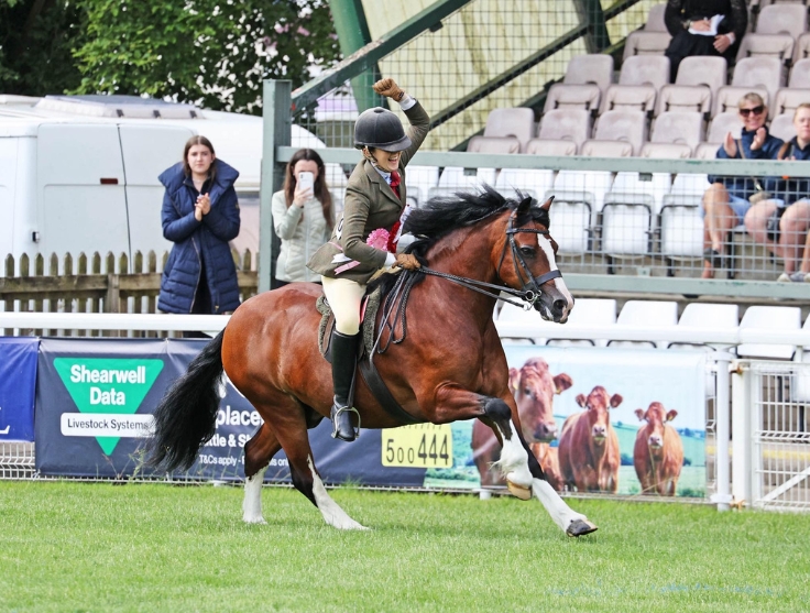 5 Tips for Feeding the Show Horse | Keyflow Feeds